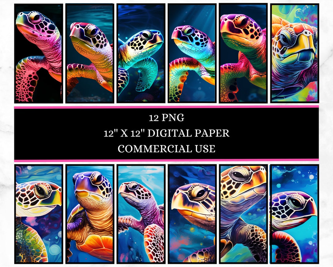 Colorful Turtles Digital Paper Png - Etsy