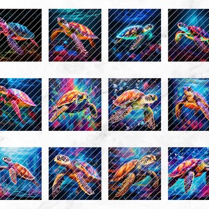 Colorful Turtles Digital Paper Png - Etsy