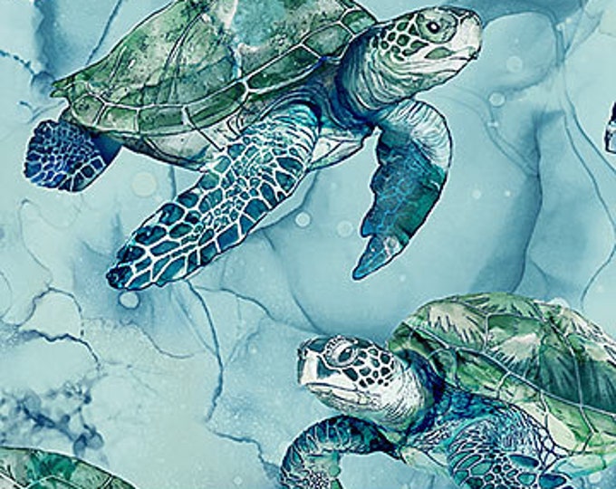 Sea Breeze Turtles Fabric (sea Breeze Collection) From Northcott - Sold ...