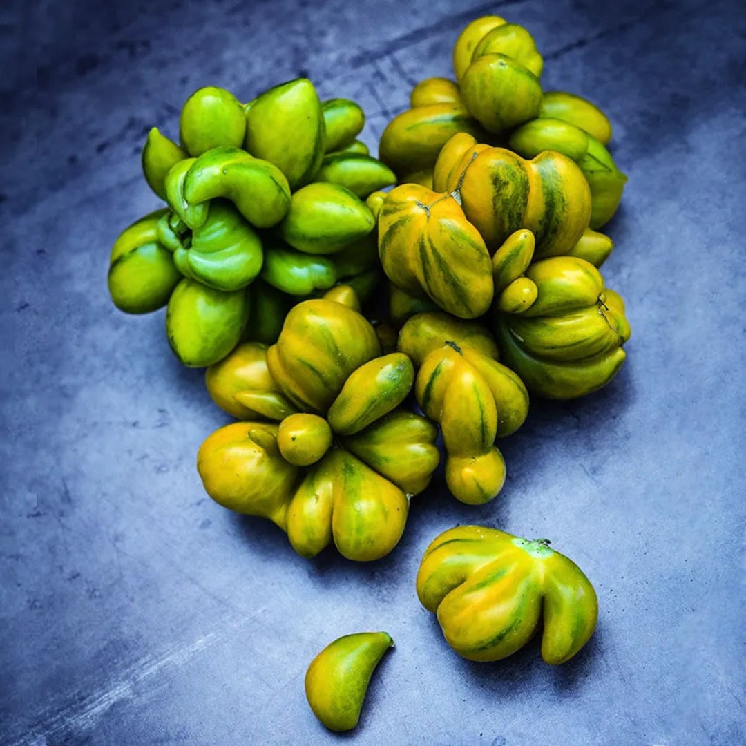 Organic Phils Two Tomato , Live Plant, Seedlings, Tomatoe, Rare ...