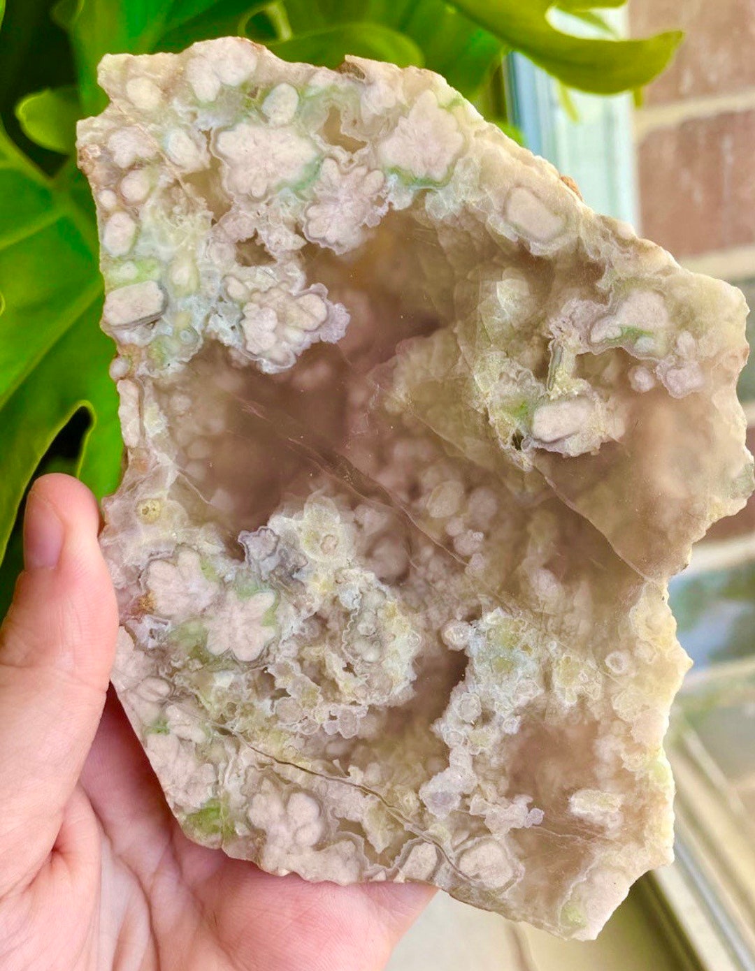 Rare Colored Flower Agate Slab Cherry Blossom Fruit Japanese - Etsy