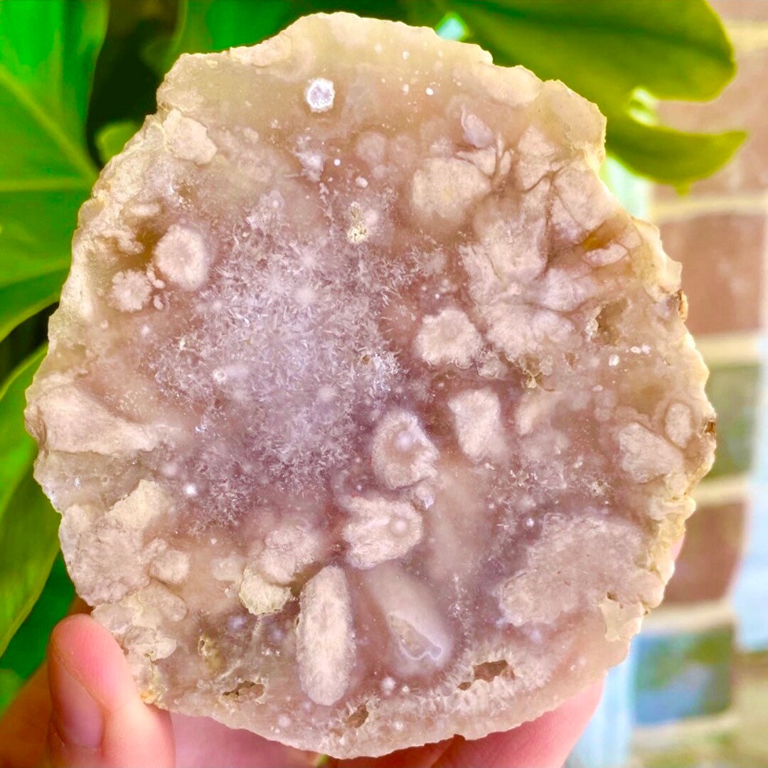 Rare Colored Flower Agate Slab Cherry Blossom Fruit Japanese Blue Pink ...