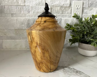 Large Varigated Juniper Hollow Form/ Urn - Etsy