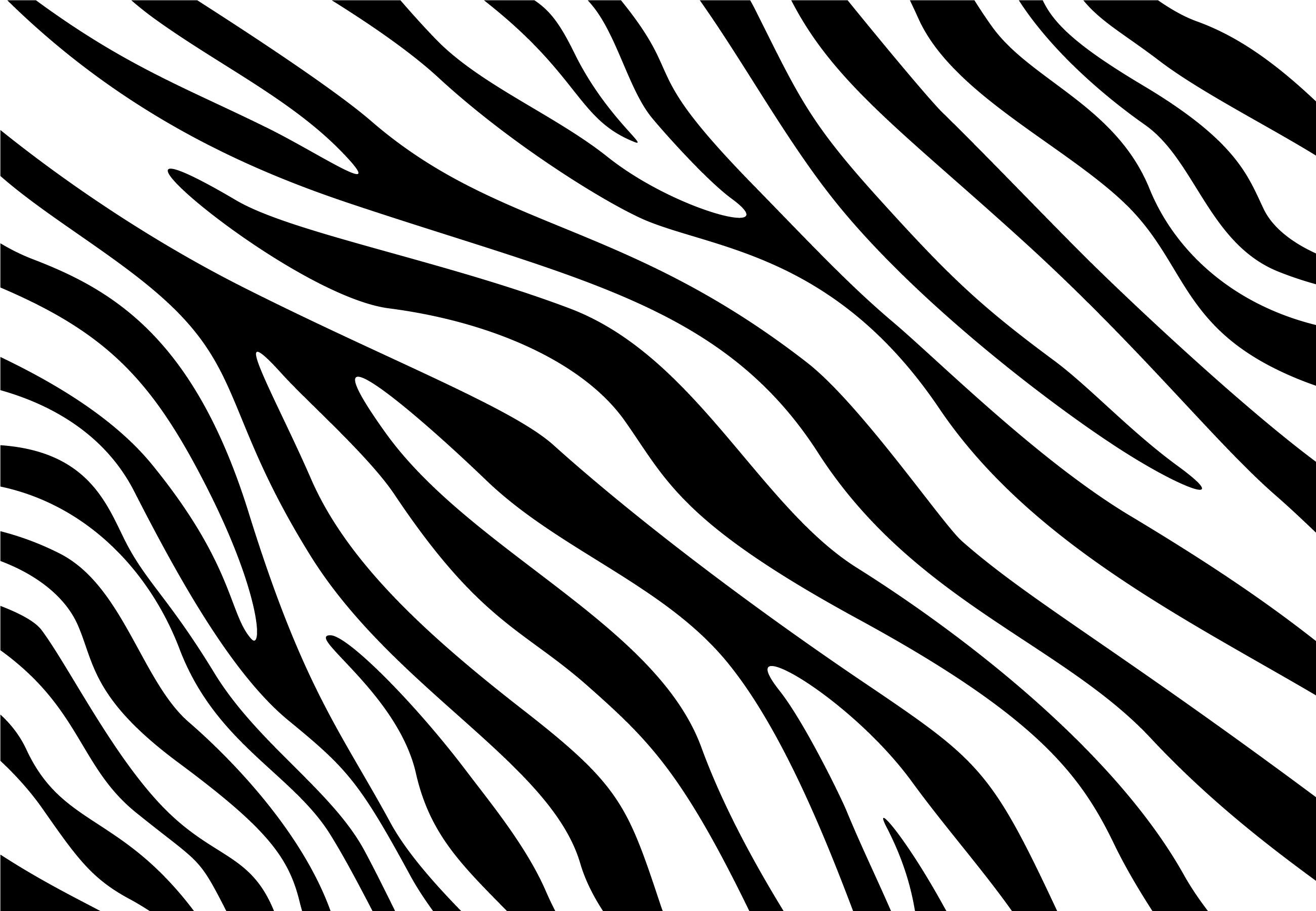 Zebra Print, Zebra Spots, Zebra Print Patter - Etsy