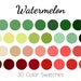 Watermelon, Color Swatches, Color Palette, iPad - Etsy
