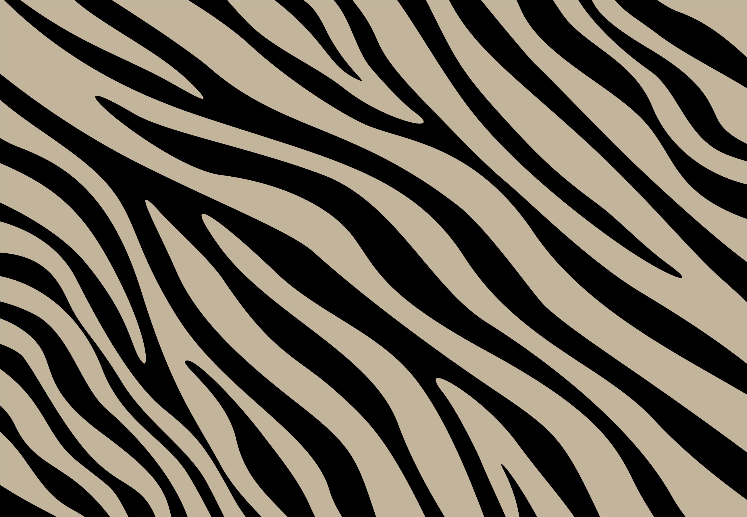 Zebra Print, Zebra Spots, Zebra Print Patter - Etsy