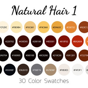 Natural Hair 1, Color Swatches, Color Palette, iPad - Etsy