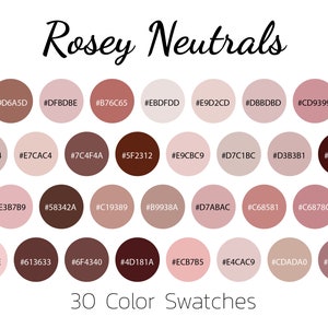 Rosey Neutrals, Color Swatches, Color Palette, iPad - Etsy