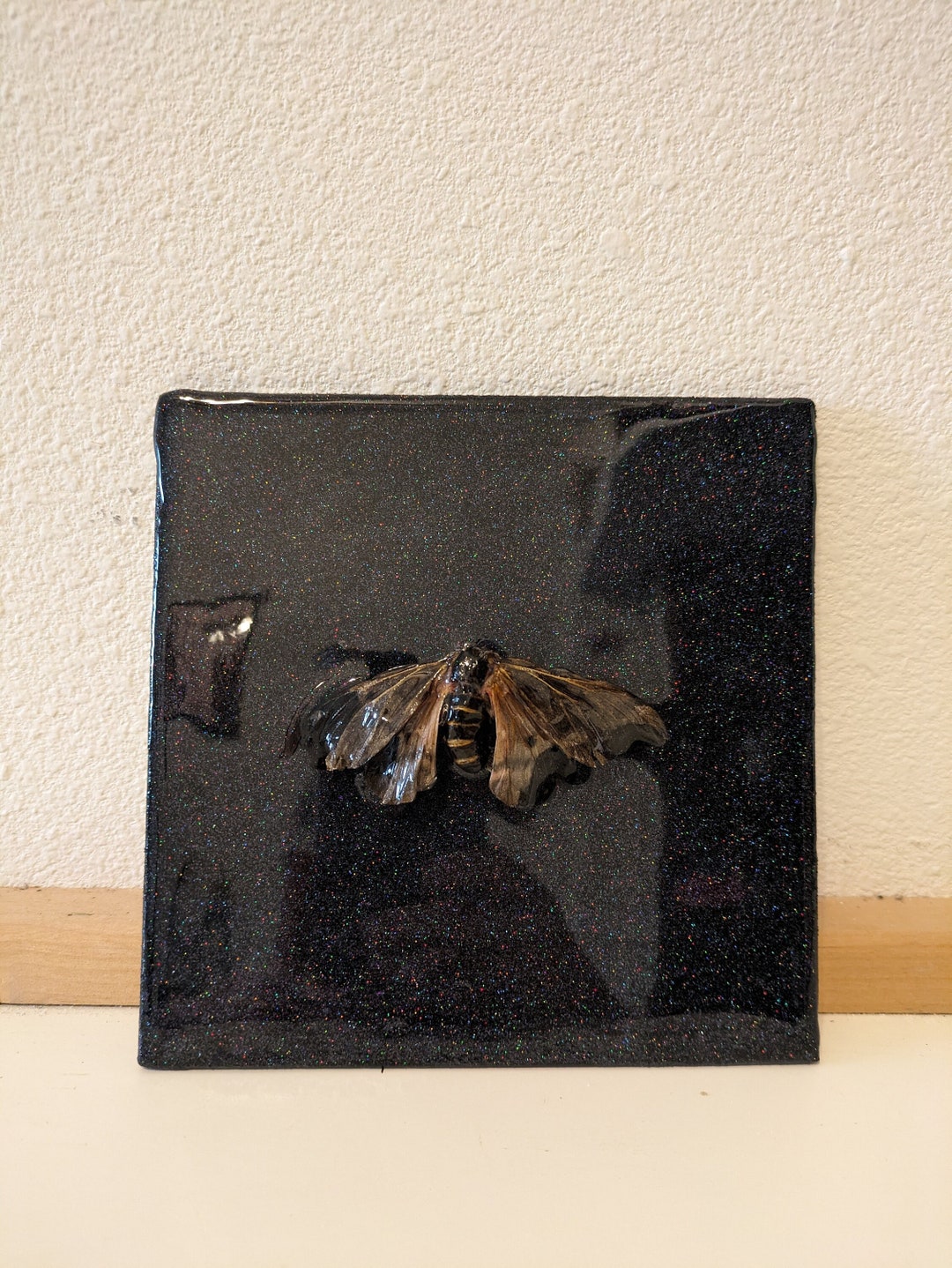 Mounted Moth Resin Wall Art Goth - Etsy
