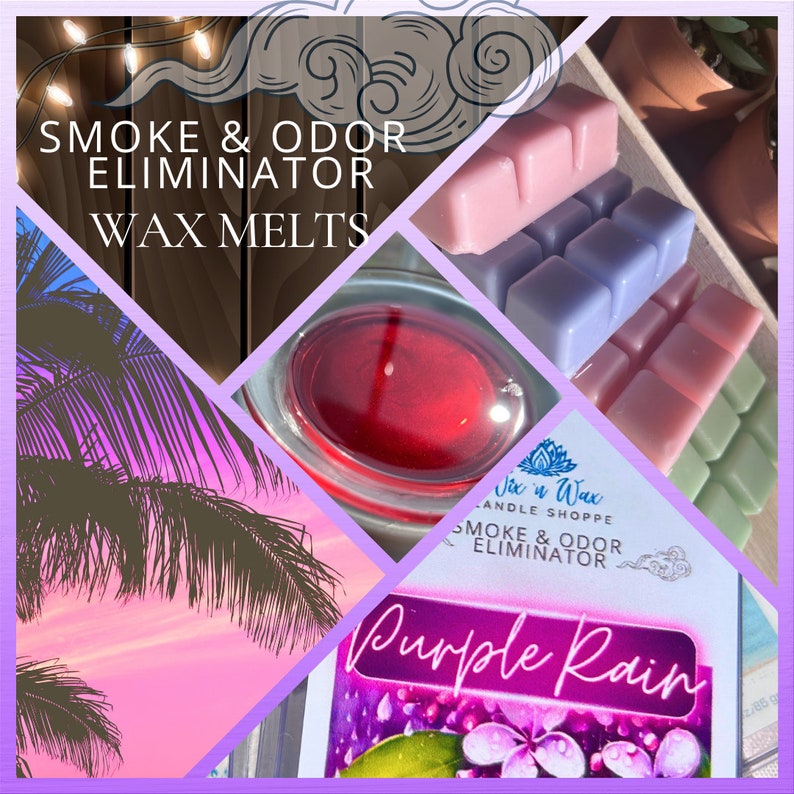 Wax Melts Odor Eliminating Handmade 100% Natural Coconut Blend Wax Pick ...