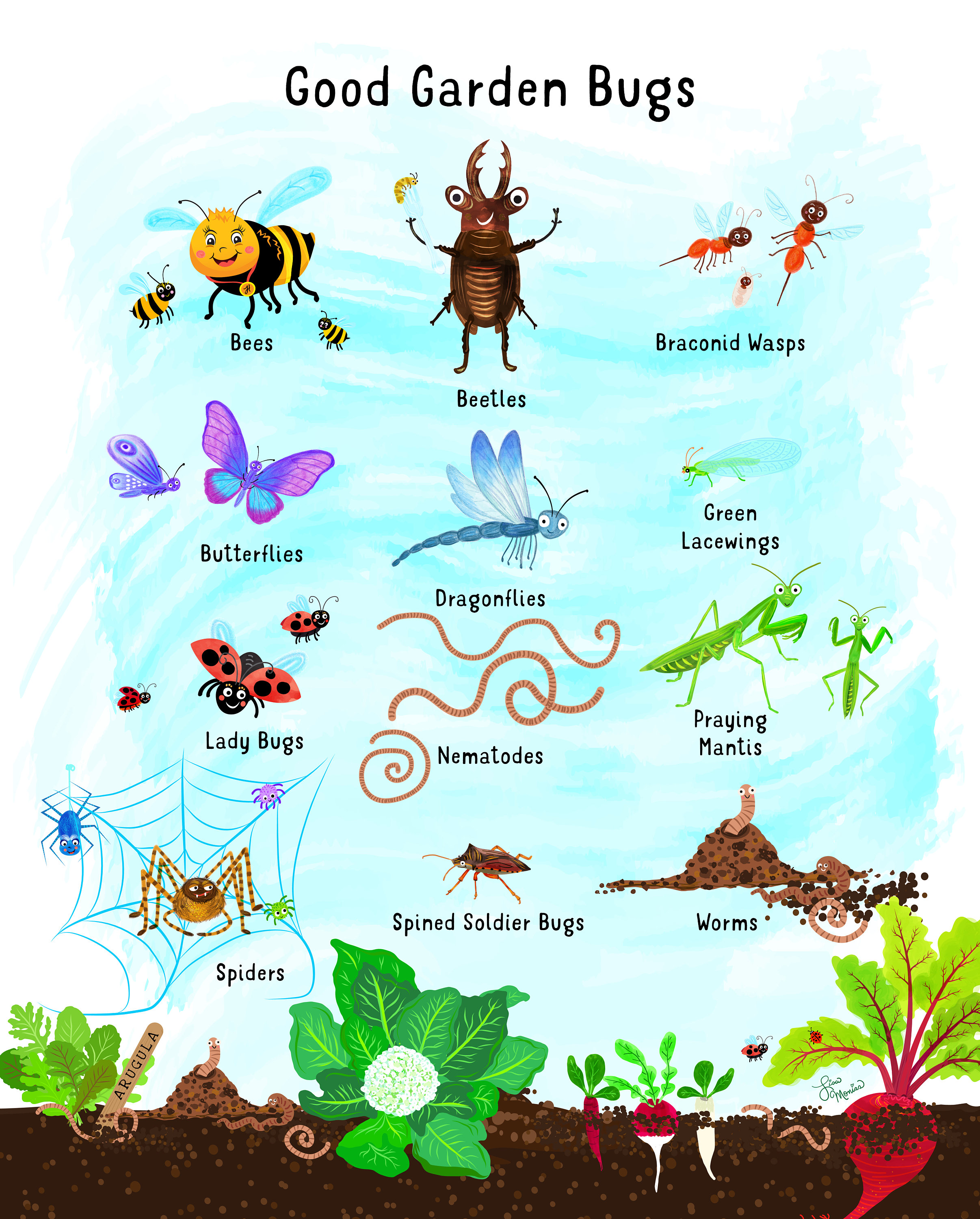 Good Garden Bugs Poster Lisa Monias - Etsy
