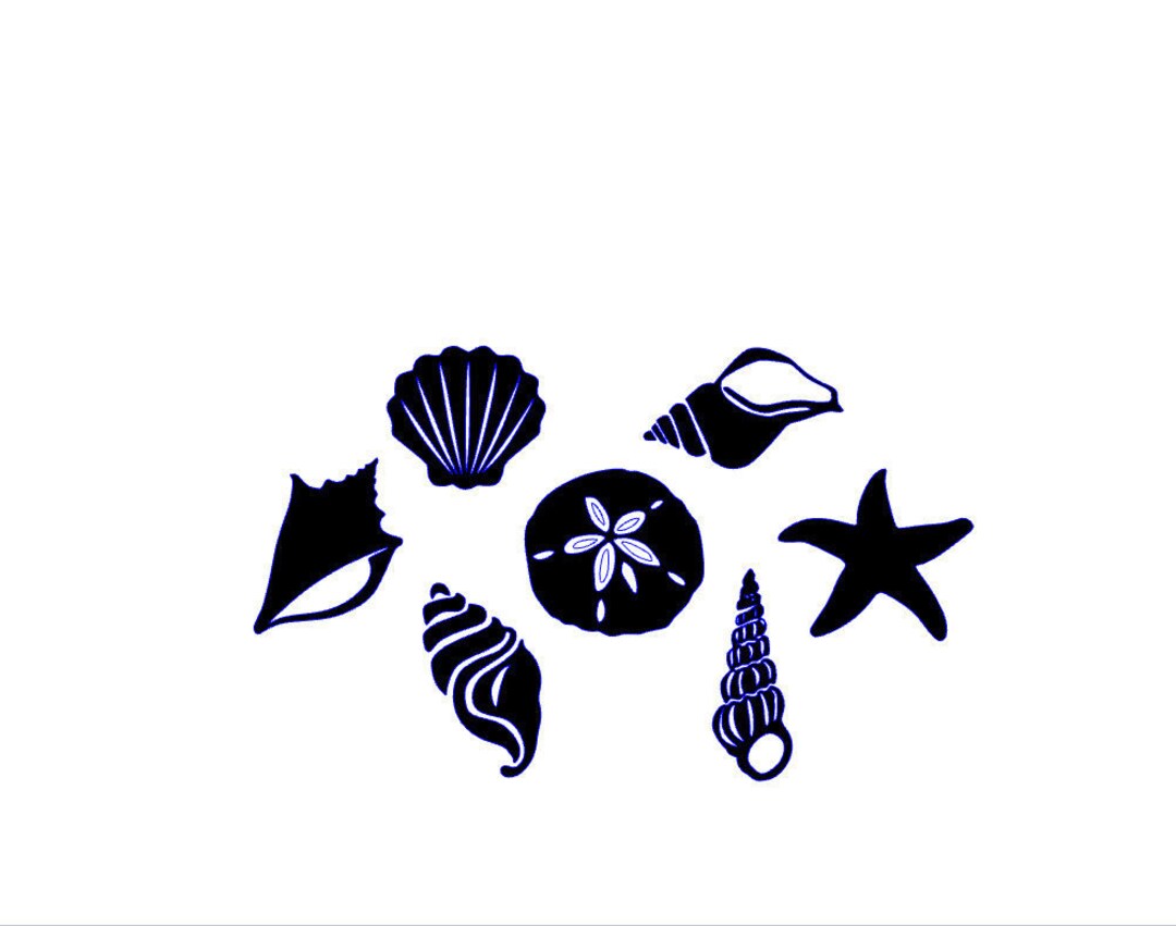 Seashell Svg File - Etsy