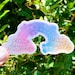 Glitter Rainbow Sticker, Rainbow Sticker, Rainbow, Cloud Sticker ...