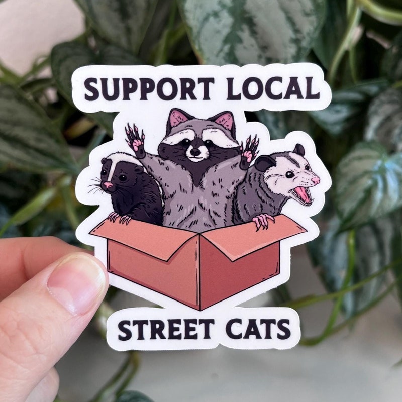 Funky Water Bottle Stickers - Etsy