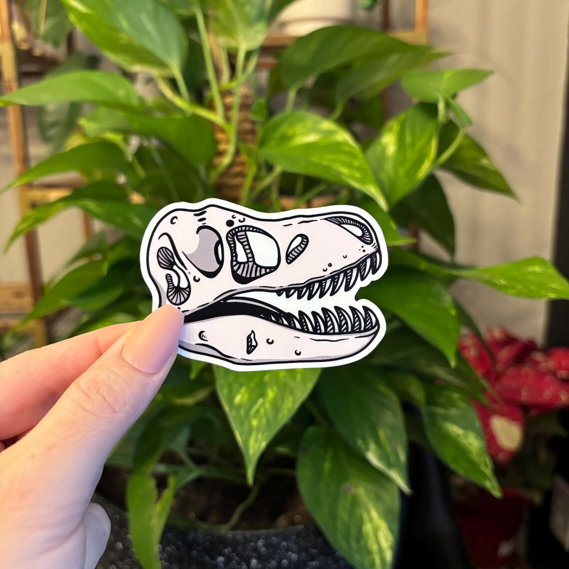 T-rex Skull Sticker, Dinosaur Sticker, Trex Sticker, Fossil Sticker ...