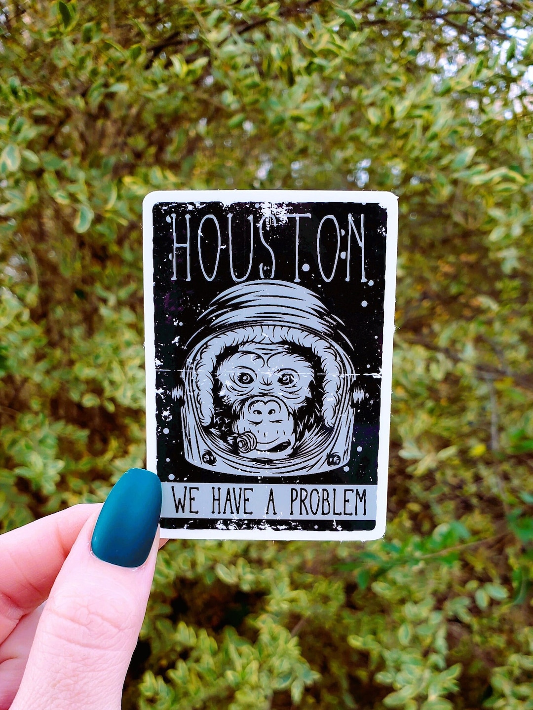 Astronaut Ape Sticker, Monkey Sticker, Space Sticker, Animal Sticker ...