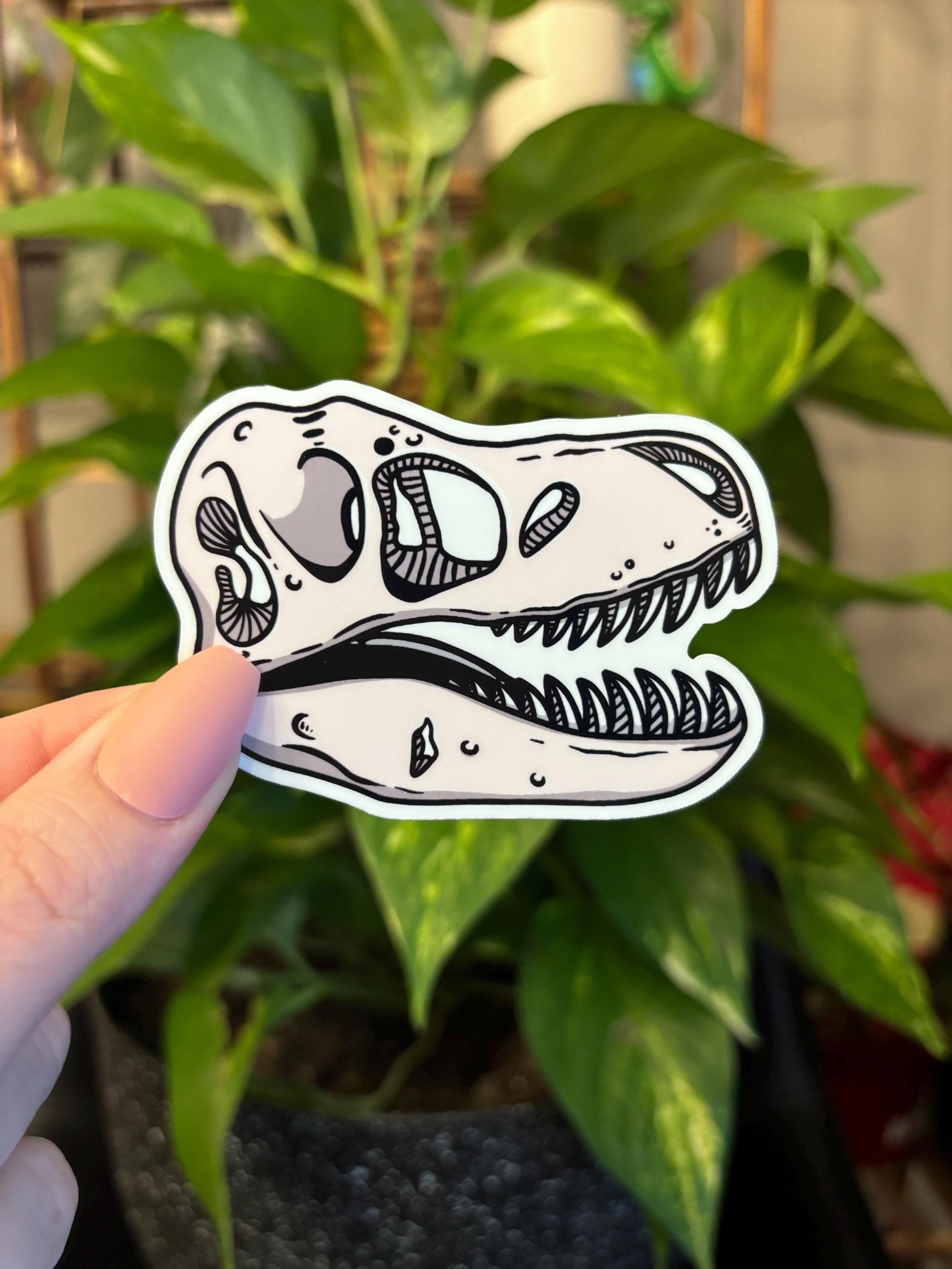 T-rex Skull Sticker, Dinosaur Sticker, Trex Sticker, Fossil Sticker ...