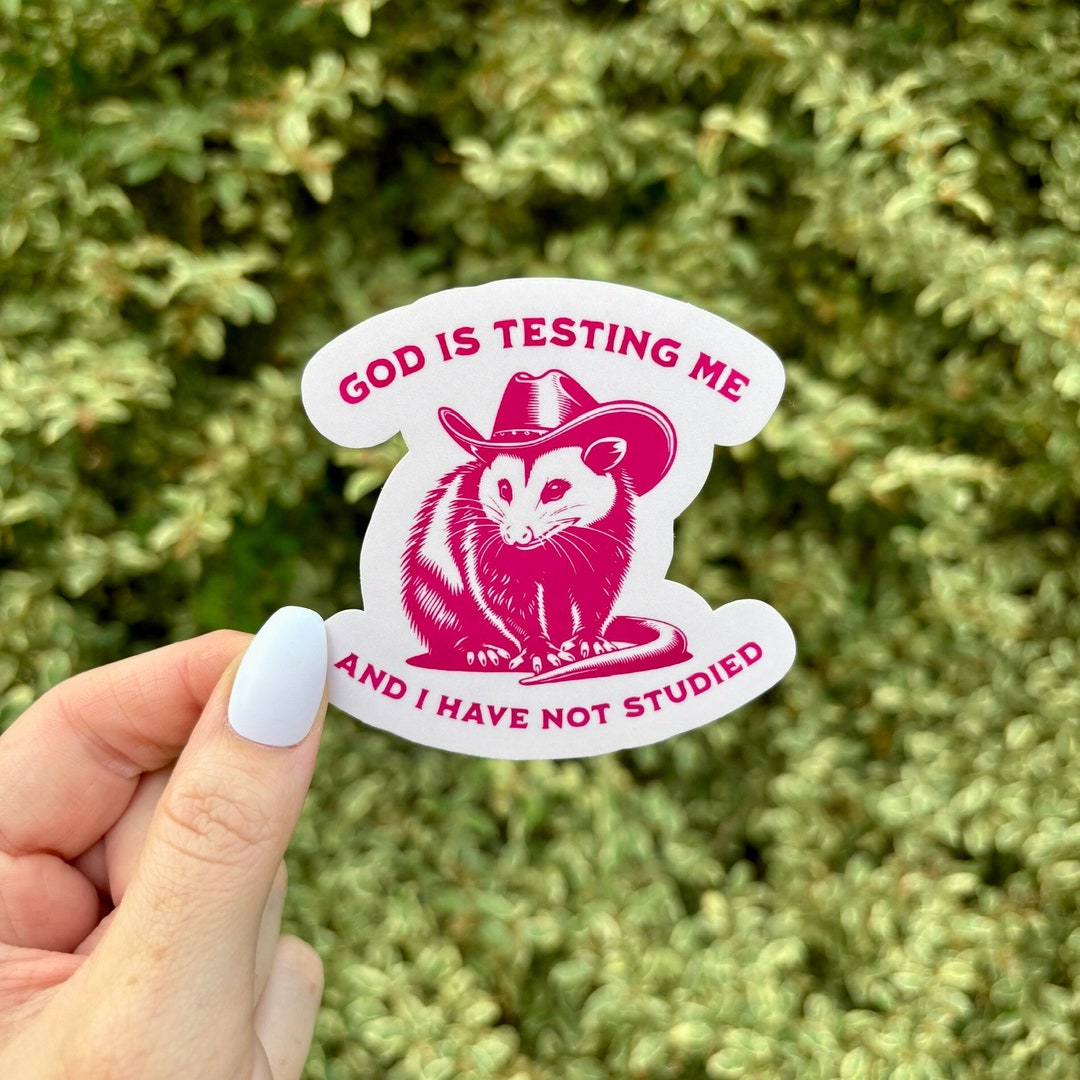 God is Testing Me Sticker, Possum Sticker, Funny Sticker, Cowboy ...