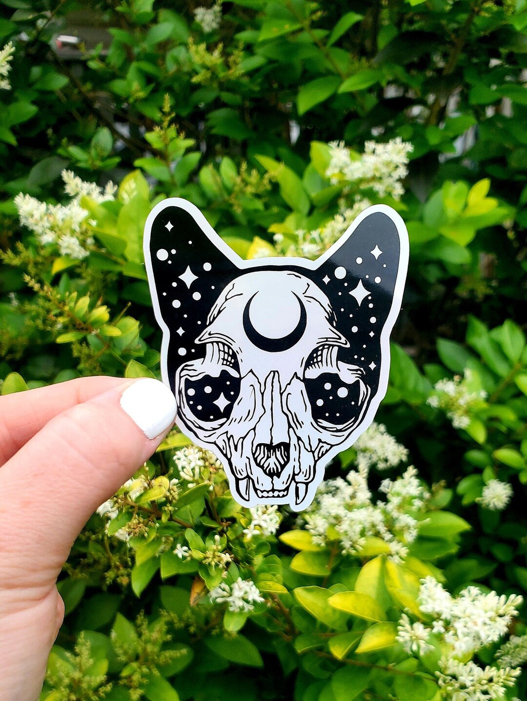 Holographic Cat Sticker, Cat Skeleton Sticker, Skeleton Sticker, Cat ...