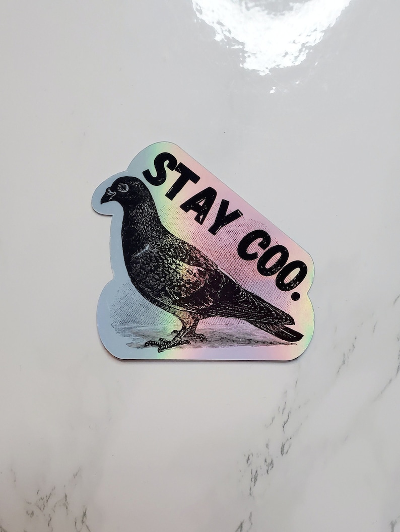 Holographic Stay Coo Pigeon Sticker Pigeon Sticker Bird - Etsy
