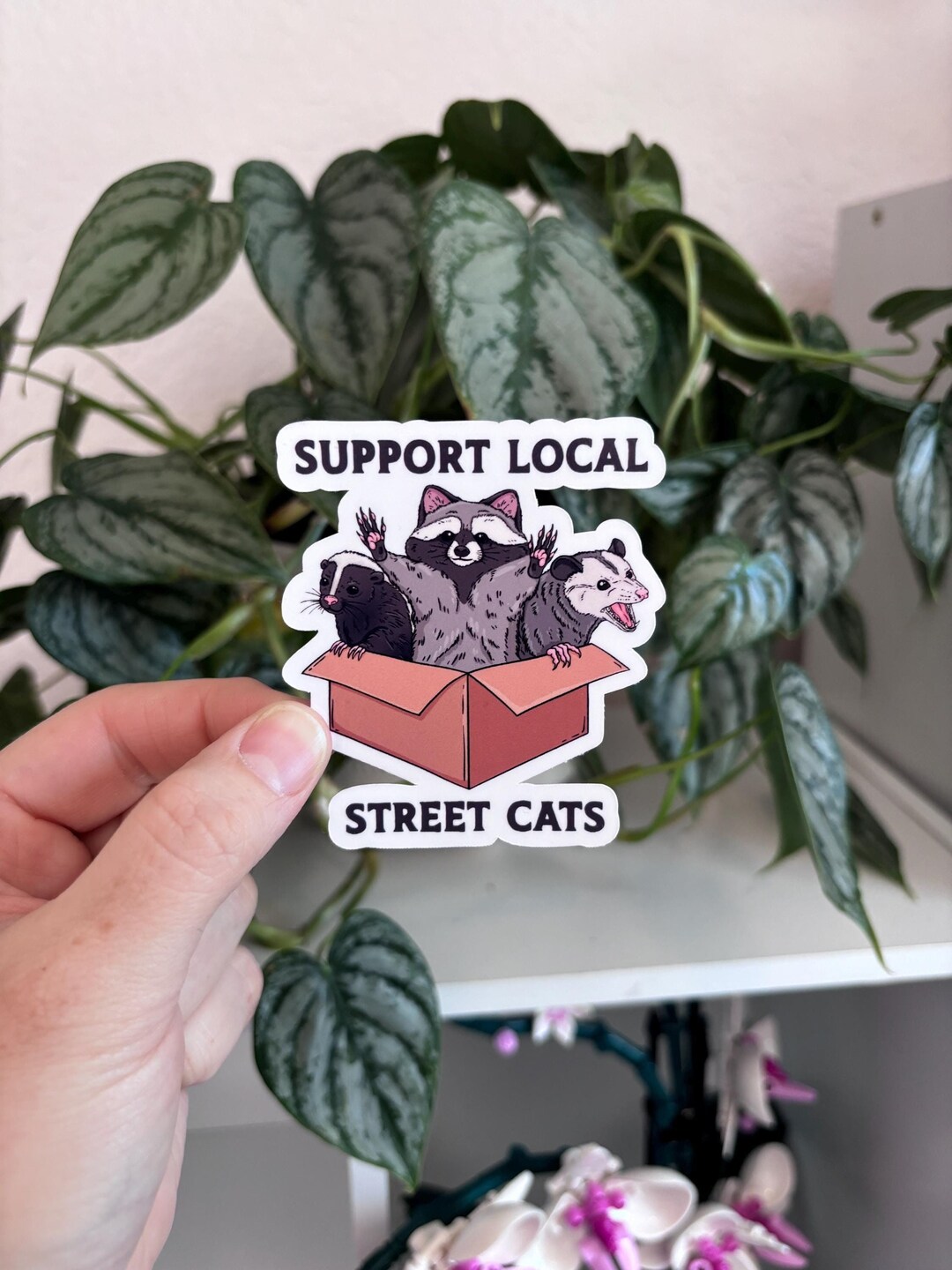 Support Local Street Cats Sticker, Raccoon Sticker, Possum Sticker ...