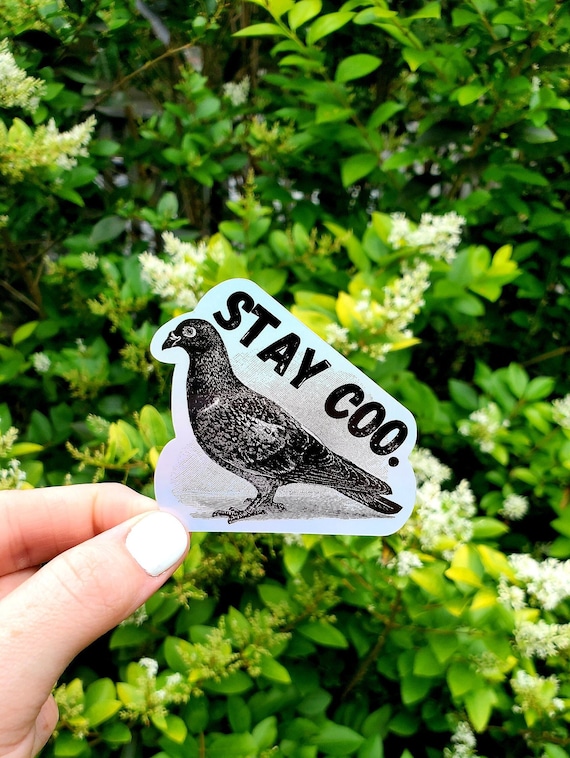 Holographic Stay Coo Pigeon Sticker Pigeon Sticker Bird | Etsy
