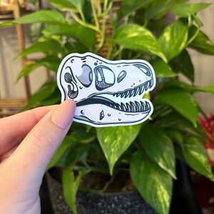 T-rex Skull Sticker, Dinosaur Sticker, Trex Sticker, Fossil Sticker ...