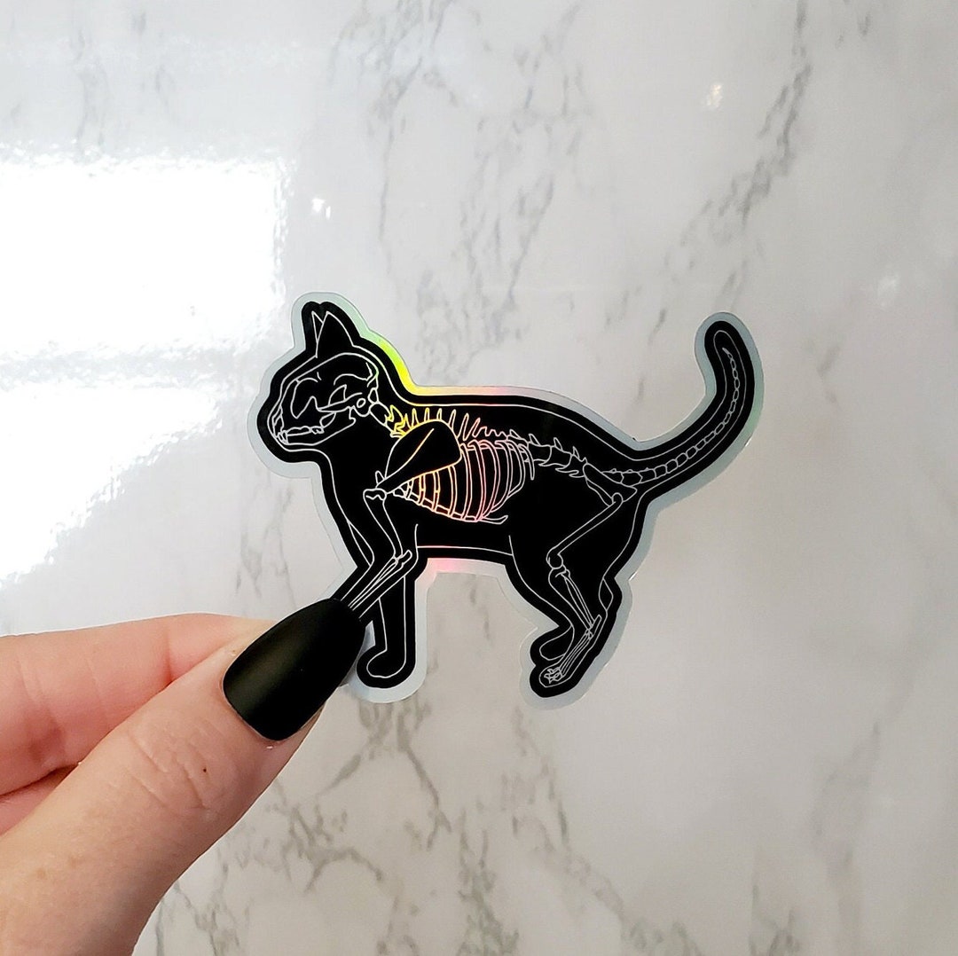 Holographic Cat Skeleton Sticker, Skeleton Sticker, Skull Sticker, Cat ...