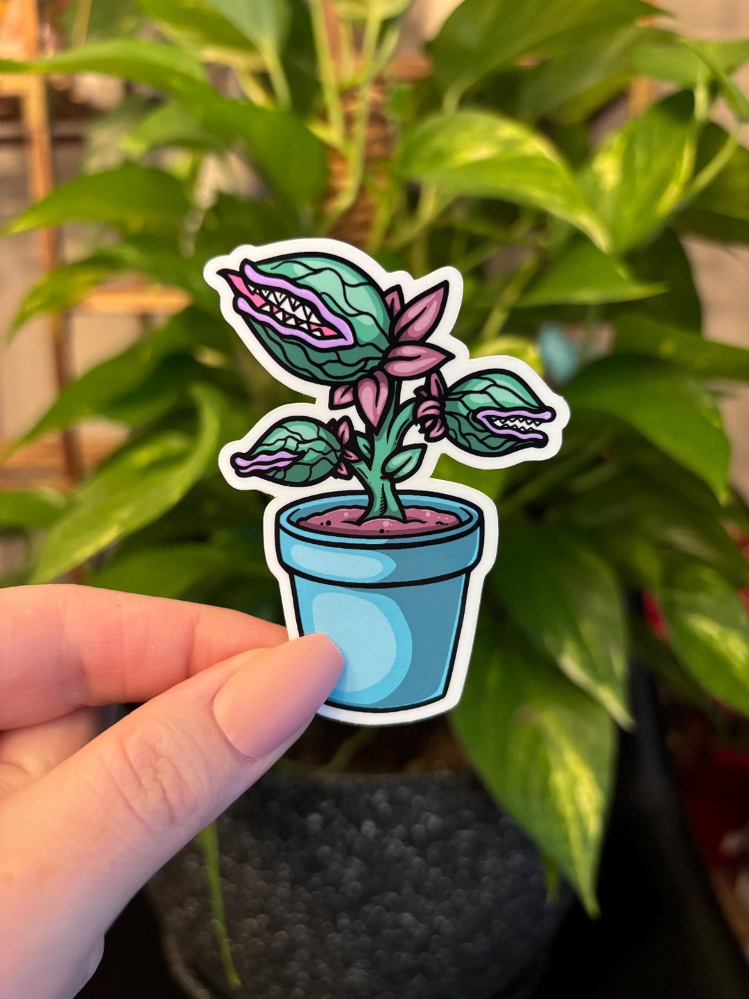 Venus Flytrap Sticker, Plant Sticker, Plant Lover Sticker, Flower ...