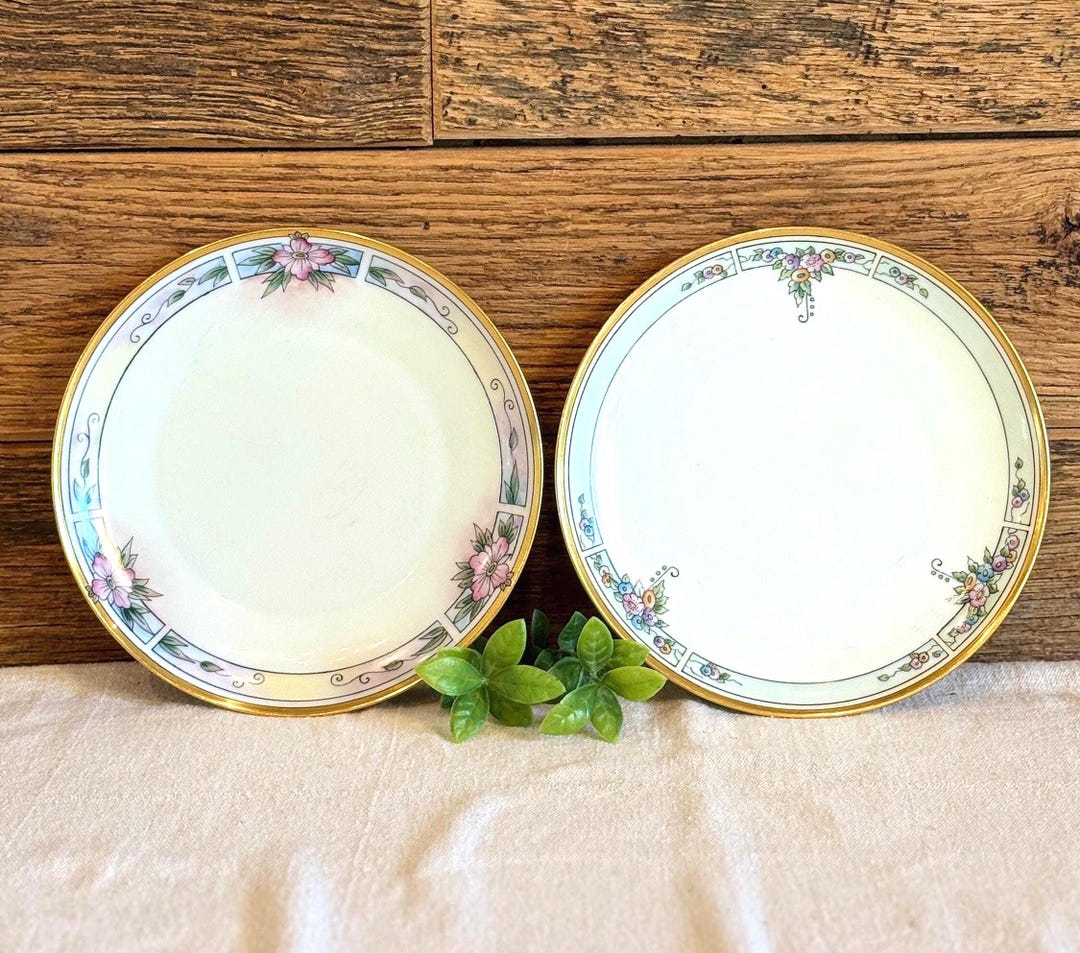 Set of 2 Hand Painted Porcelain Plates, Art Nouveau Style Floral ...