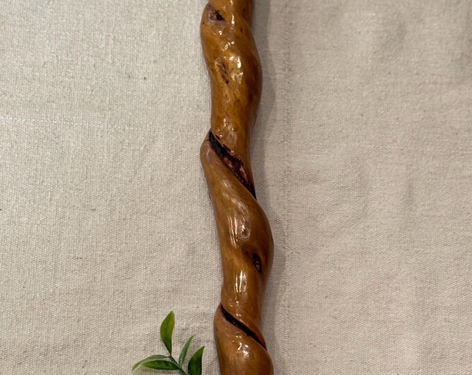 Burl Tree Natural Twisted Knot Walking Stick/cane, Vintage, Natural ...