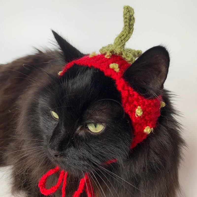 Cat Knit Hat - Etsy