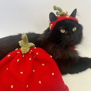 MATCHING SET - Hand Knitted Strawberry Cat Hat With 2 Matching Hats for ...