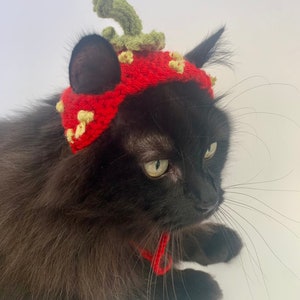 MATCHING SET - Hand Knitted Strawberry Cat Hat With 2 Matching Hats for ...