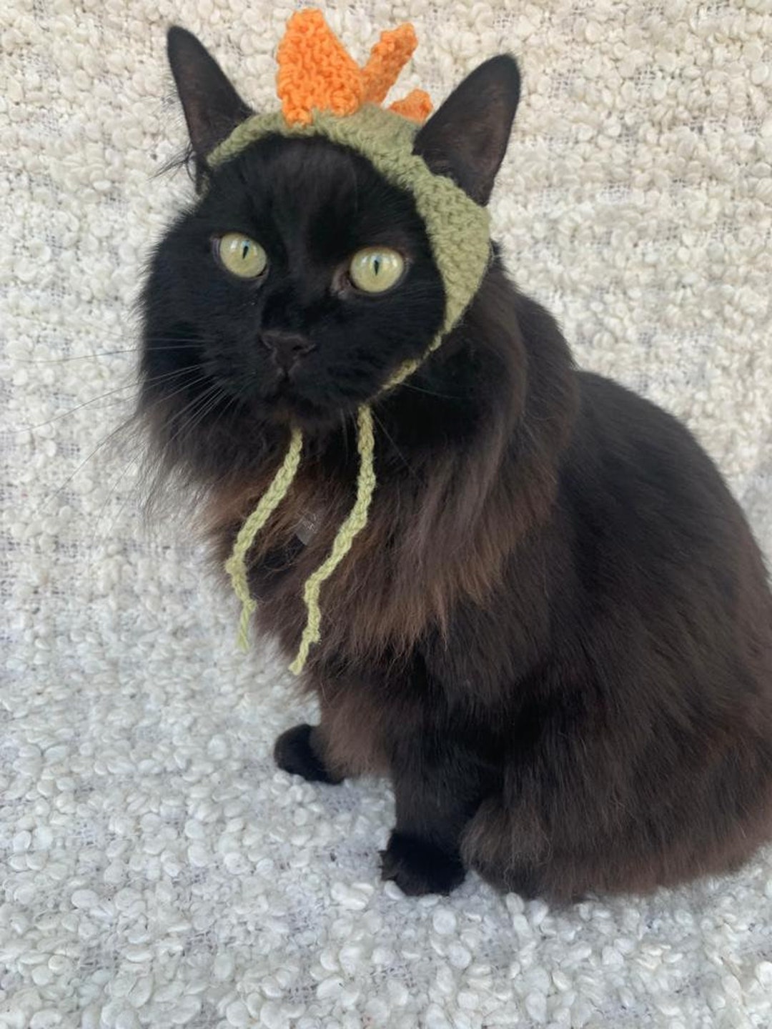 Matching Human and Cat Dinosaur Hat - Etsy