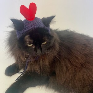 MATCHING PAIR - Hand Knitted Valentine’s Cat Hat With Matching Hat for ...