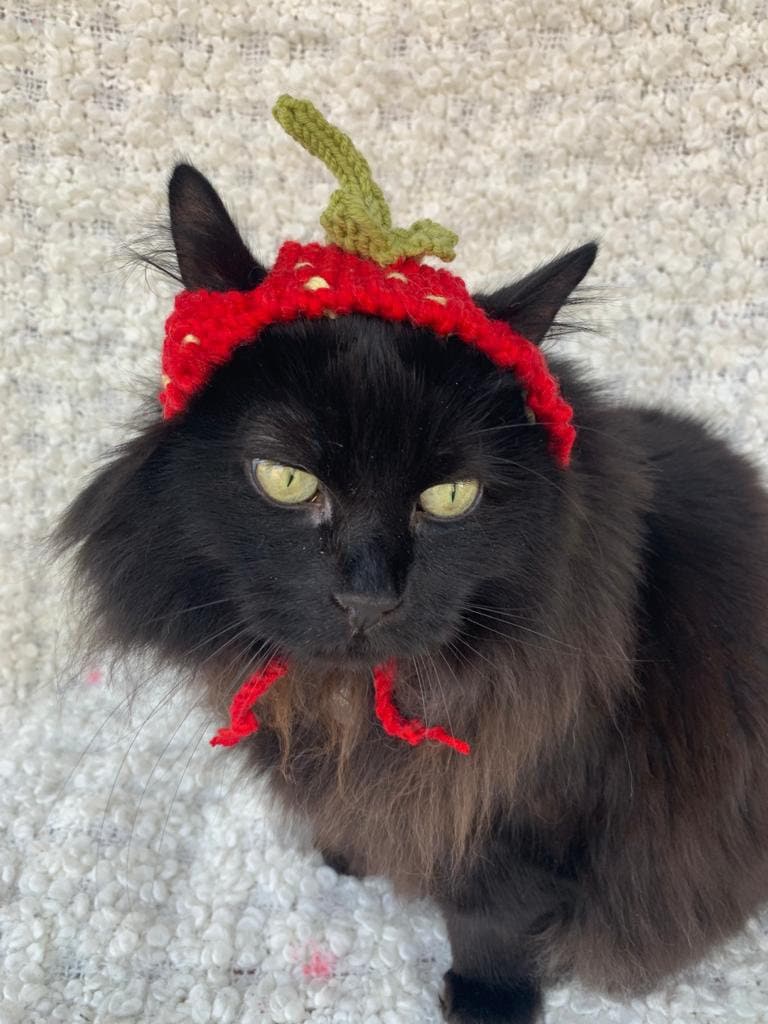 Hand Knitted Strawberry Cat Hat | Etsy