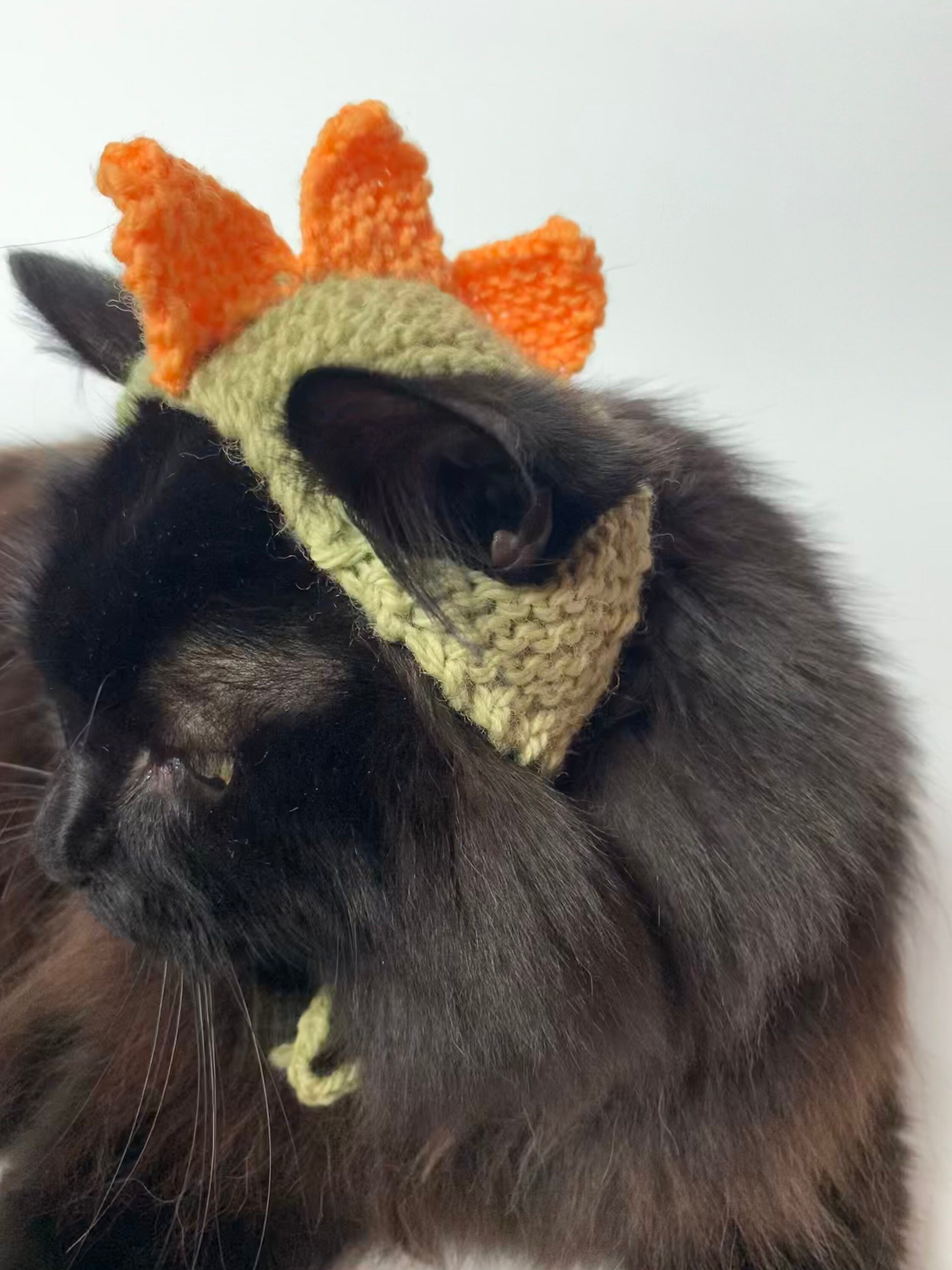 Matching Human and Cat Dinosaur Hat - Etsy