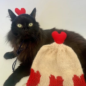 MATCHING PAIR - Hand Knitted Valentine’s Cat Hat With Matching Hat for ...