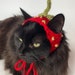 MATCHING SET - Hand Knitted Strawberry Cat Hat With 2 Matching Hats for ...
