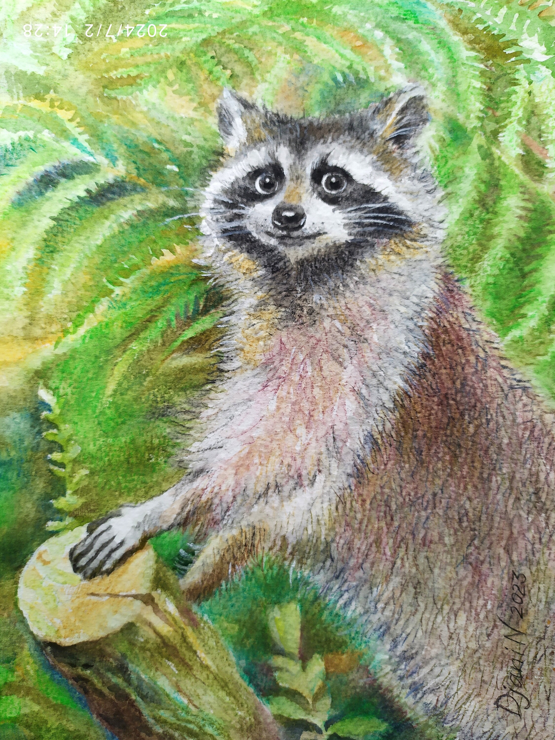 Raccoon in the Forest With Colored Watercolor Pencils, Cute Raccoon ...
