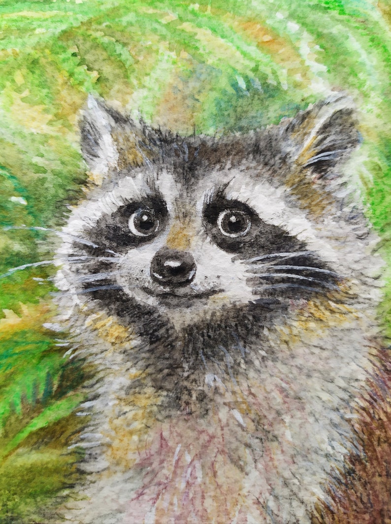 Raccoon in the Forest With Colored Watercolor Pencils, Cute Raccoon ...