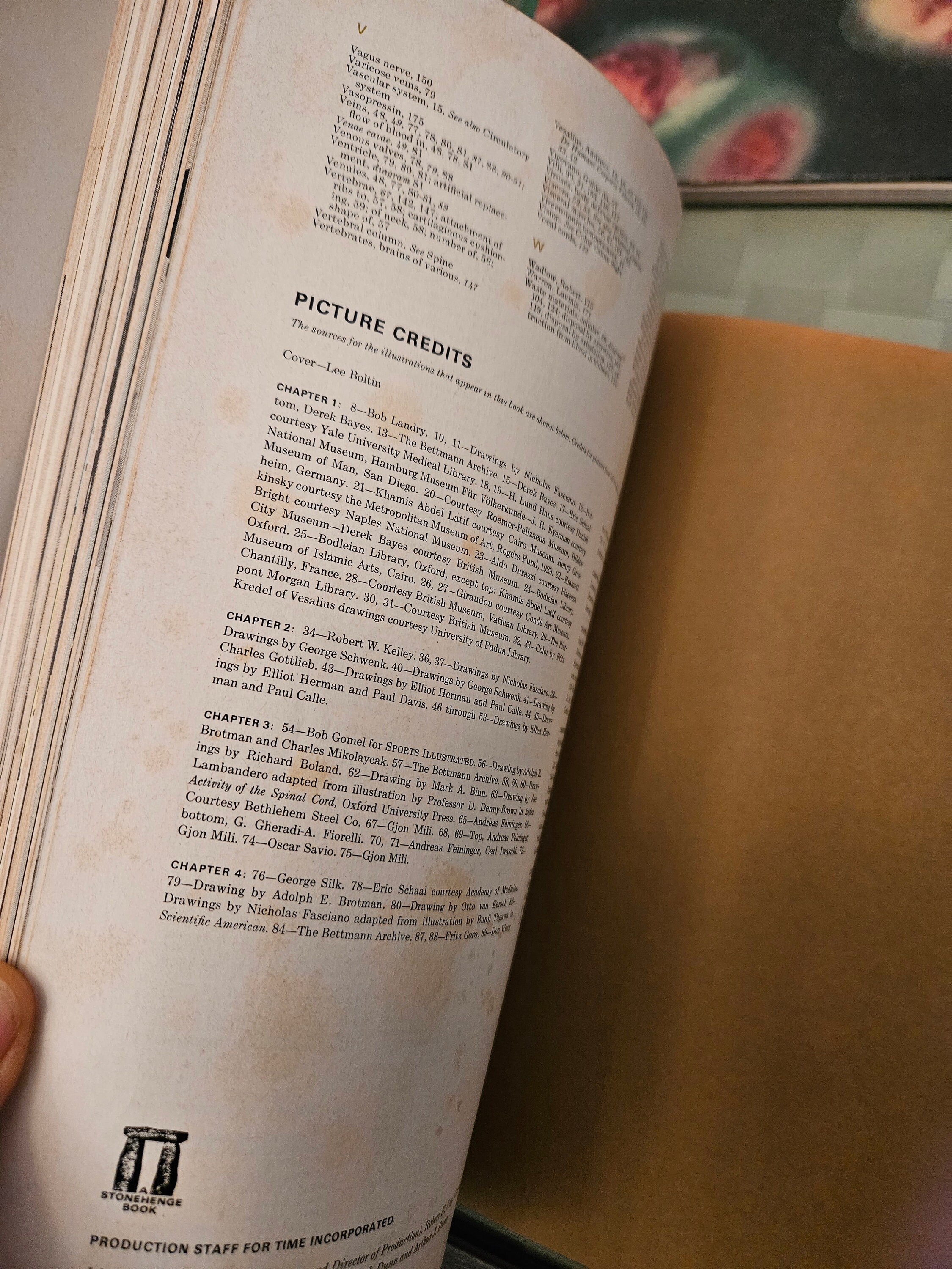 Time-life Science Library & Nature Library Books Vintage 1960s Sold ...