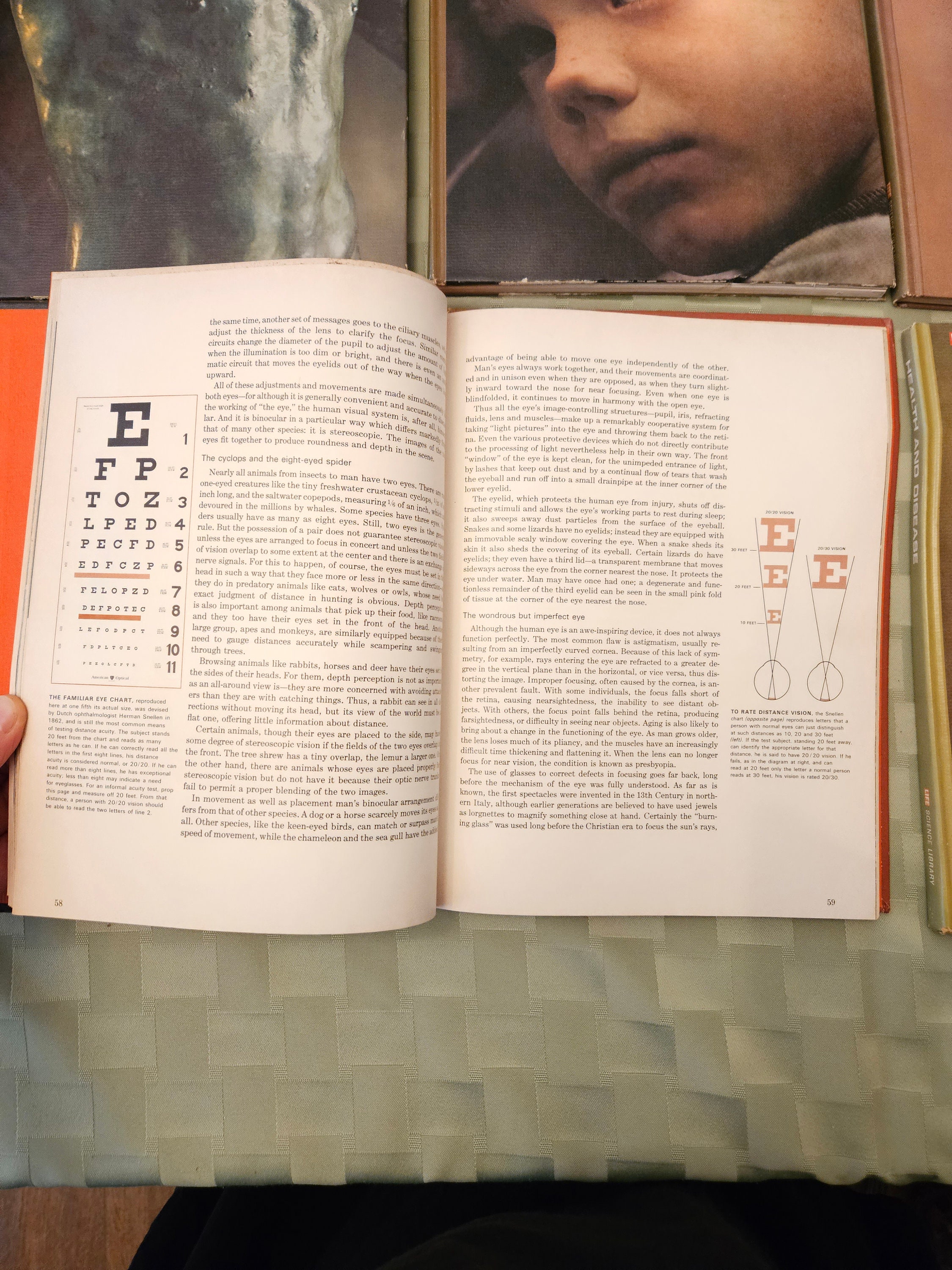 Time-life Science Library & Nature Library Books Vintage 1960s Sold ...