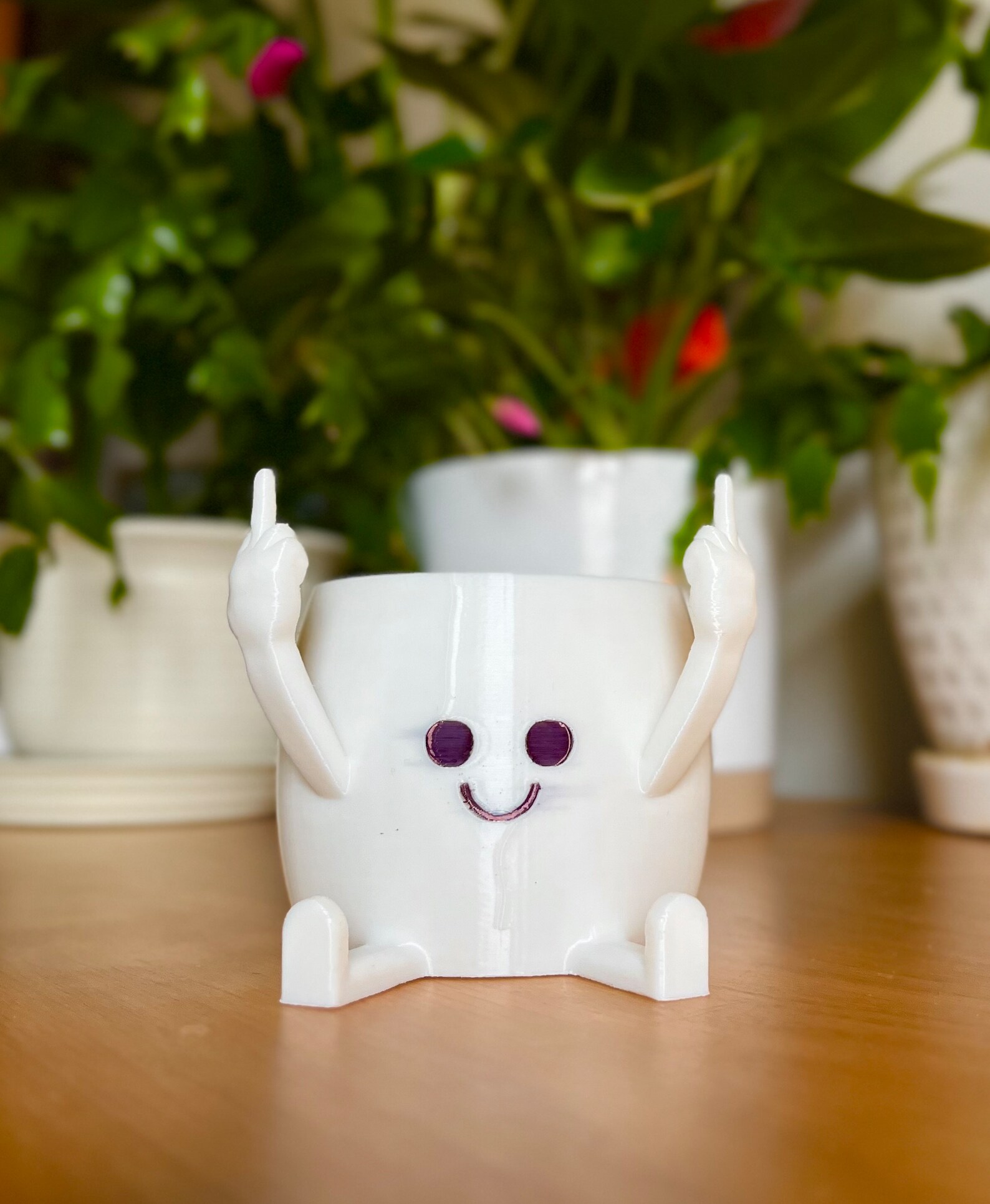 Middle Finger Plant Pot - Etsy