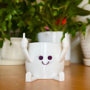 Middle Finger Plant Pot - Etsy