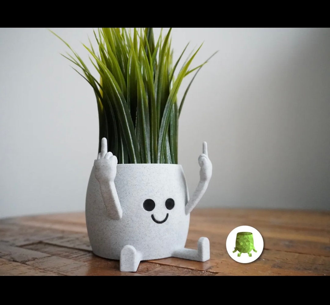 Middle Finger Plant Pot - Etsy