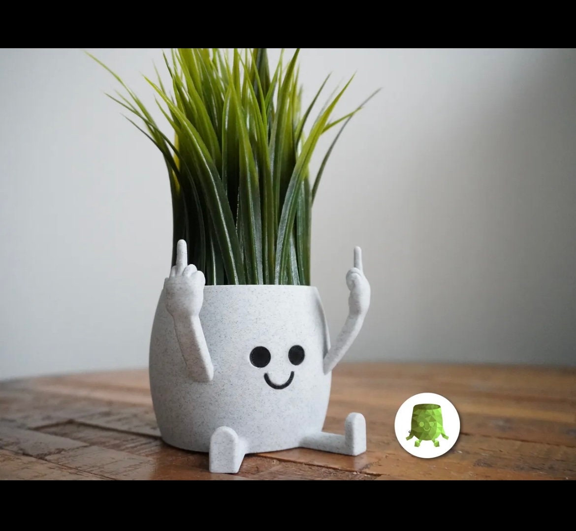 Middle Finger Plant Pot - Etsy