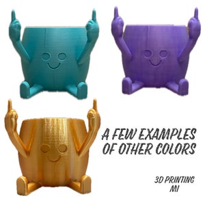 Middle Finger Plant Pot - Etsy