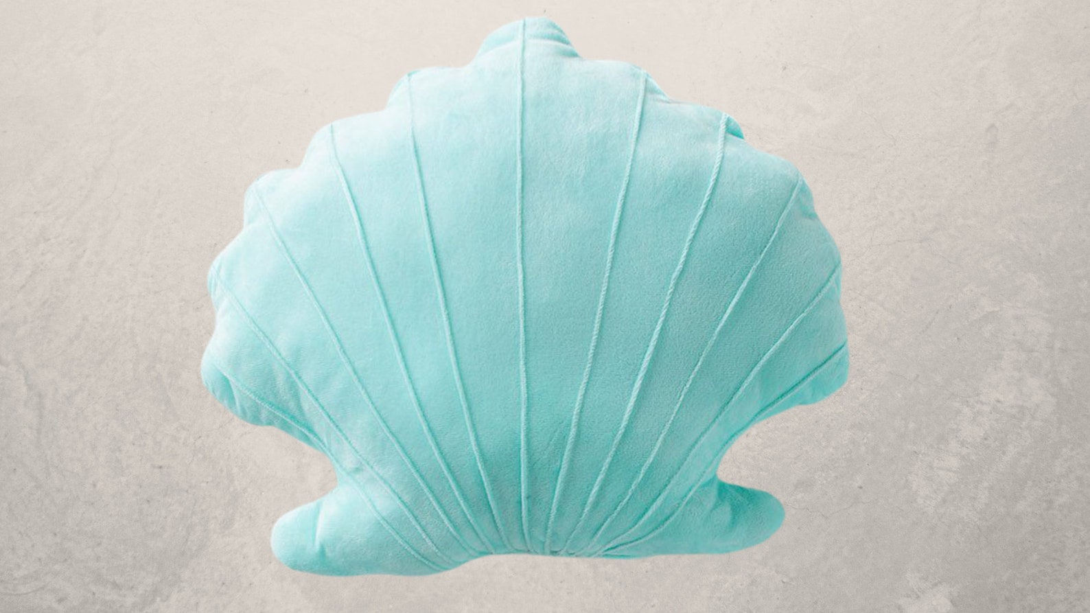 Seashell Pillow Coastal Decor Beach House Decor Nautical | Etsy